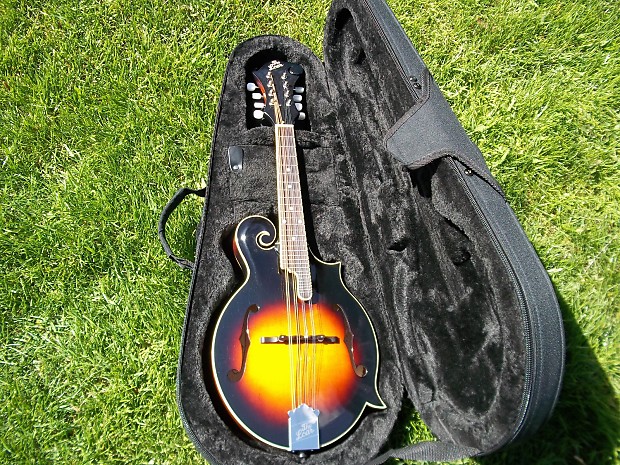 The Loar Sunburst LM 520 F Style Mandolin and Gator case, | Reverb