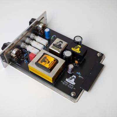 Lightning Boy Audio Super Storm - 500 Series mic preamp | Reverb