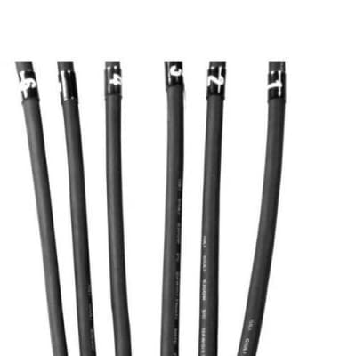 SOCO SOCAPEX 5 ft 19 PIN Male to 6 Blunt Ends - Breakout | Reverb