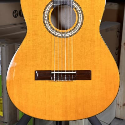 Burswood Classical Acoustic Guitar As Is | Reverb