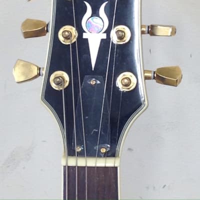 Jay Turser JT-220 Serpent Electric Guitar | Reverb