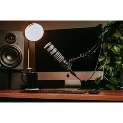 512 Audio Adjustable Microphone Boom Arm for Podcasting, | Reverb