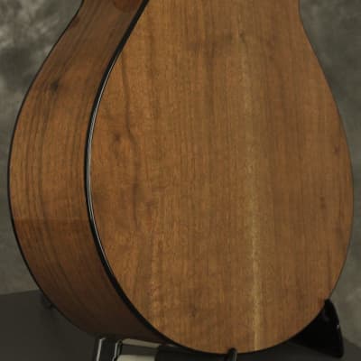 2001 Breedlove SJ25/W Jumbo w/WALNUT back + sides RMC | Reverb