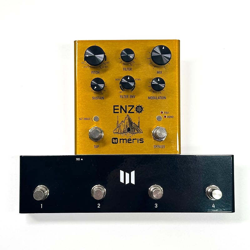 Meris Enzo + Meris Preset Switch | Reverb