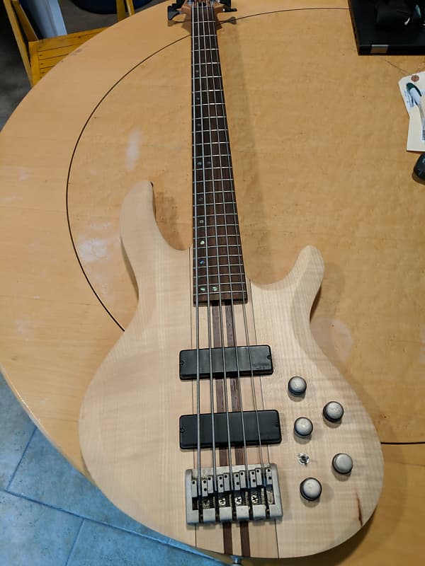 Laguna Ocean 5 String Bass Wood | Reverb
