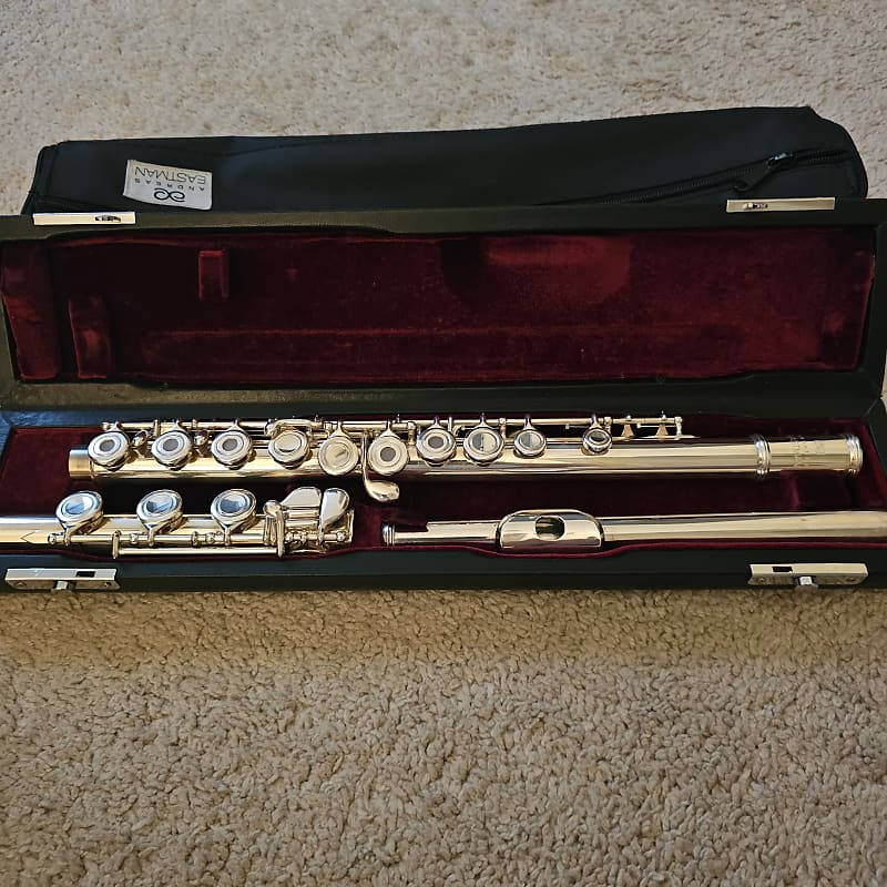 Eastman 320ob Flute Offset G B Foot Open Hole Silver | Reverb