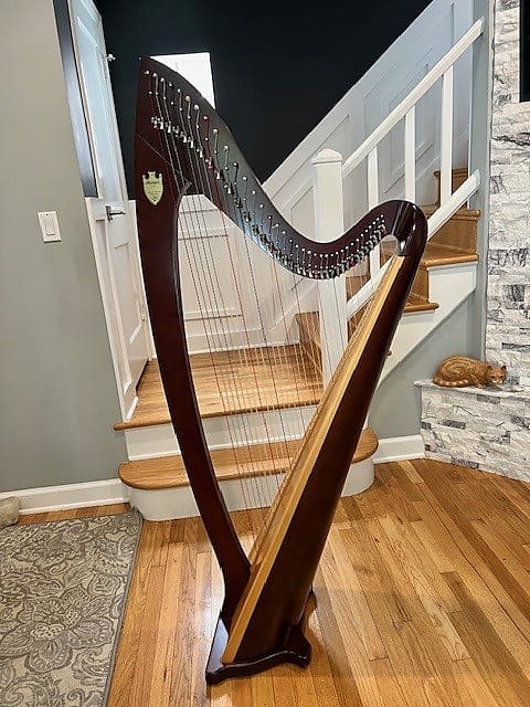 Lyon & Healy Harp - Troubadour VI | Reverb