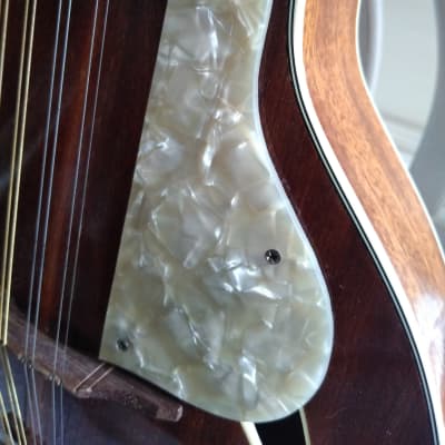 Hofner 1963 Mandolin, Model 545 Cats Eye, Natural, With | Reverb