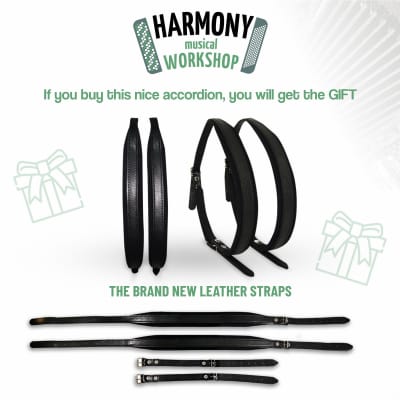 Vintage Bayan Harmonica Vesna Small Button Accordion Garmon | Reverb