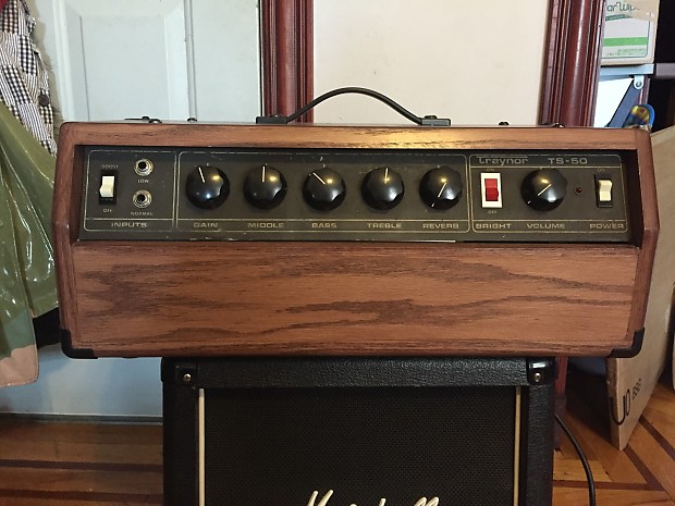 Traynor TS-50 Vintage Amplifier Head in Custom Cab | Reverb