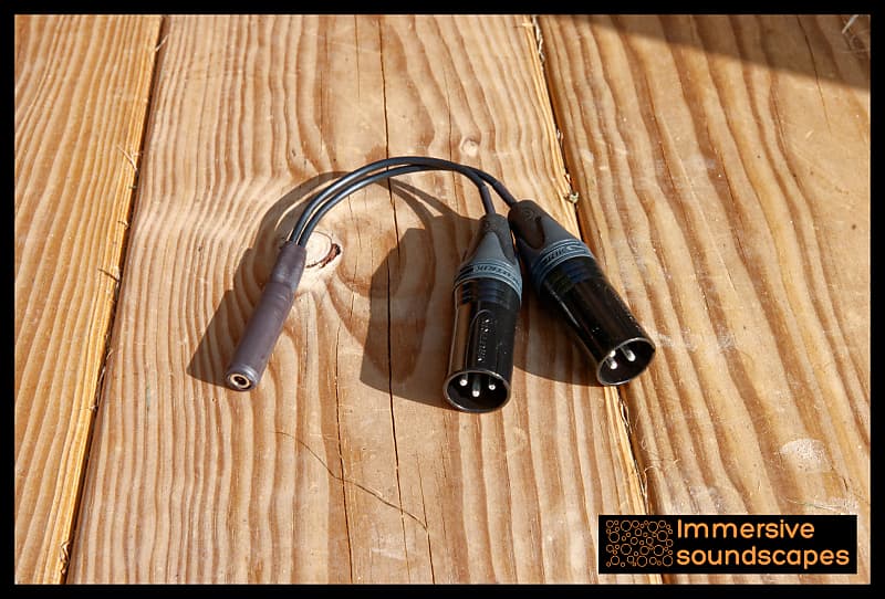 Earsight PIP TO XLR ADAPTER for field recording microphones | Reverb