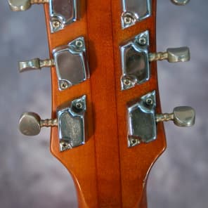 EKO Sombrero VI Dreadnought Adjustable Bridge Pro Setup | Reverb