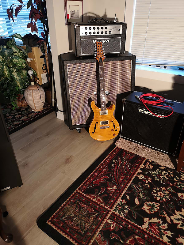 PRS 10 TOP, 12 STRING ELECTRIC GUITAR Hollow Body 2011 Two | Reverb UK