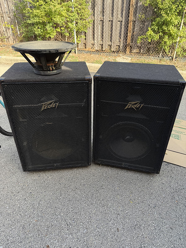 Pair Peavey 118 International Series III Subwoofers w/ | Reverb