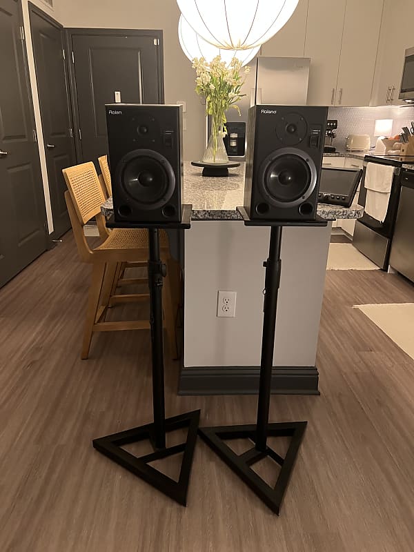 Roland DS-5 Powered Studio Monitors - Black (PAIR) | Reverb