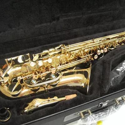 Mint Open Box Yanagisawa A-WO1 Professional Alto Saxophone; | Reverb