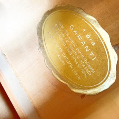 Herman Carlson Levin Model 18 rare & gorgeous parlor | Reverb UK