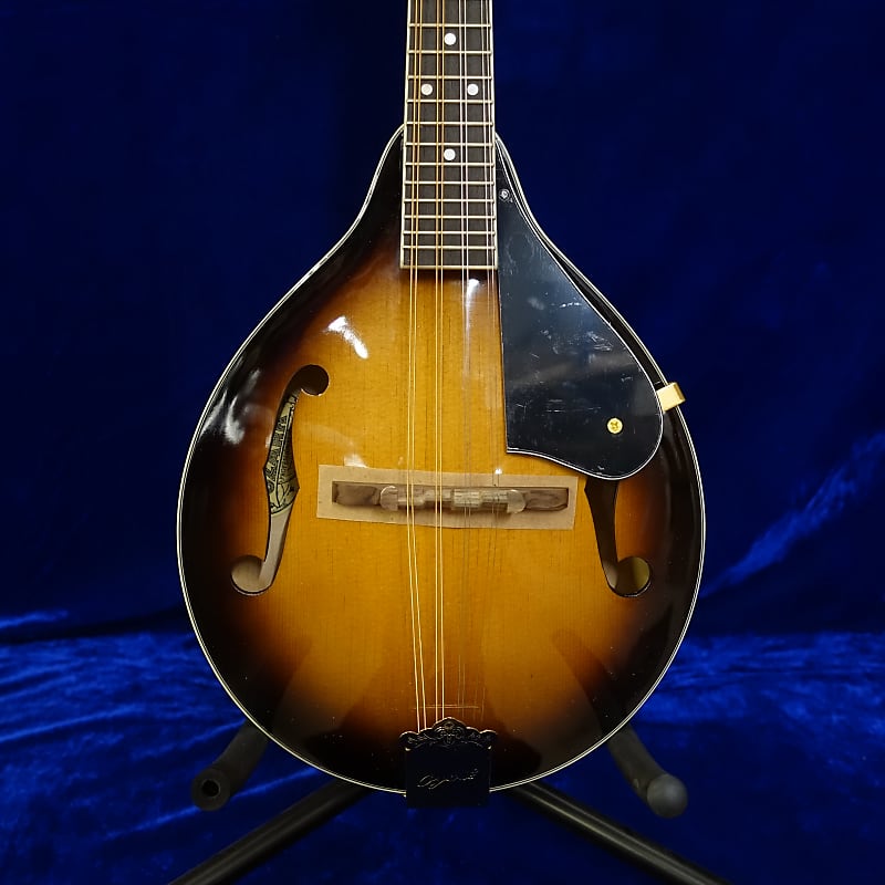 Ozark Mandolin F Hole All Solid | Reverb