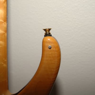 1993 Scott Ambush 5-String Bass | Reverb