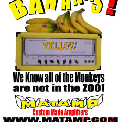 Matamp Yellow GTO 100 circa 2000 | Reverb