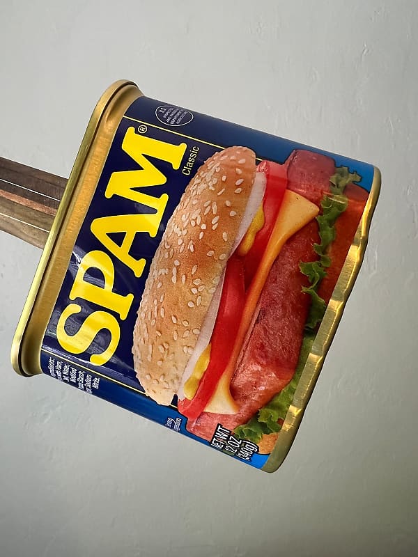 Sunshine Mountain SPAMJO (Canjo) 2 strings! The Stradivarius | Reverb