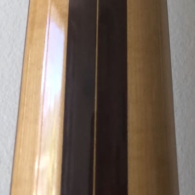 Tobias Basic 6 string bass - neck through | Reverb