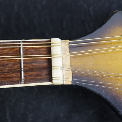 Greco Electric Mandolin, Super Rare | Reverb