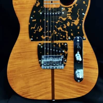 Firefly FFTL (BCTY) 2023 * ELECTRIC GUITAR MADCAT TRANSPARENT | Reverb