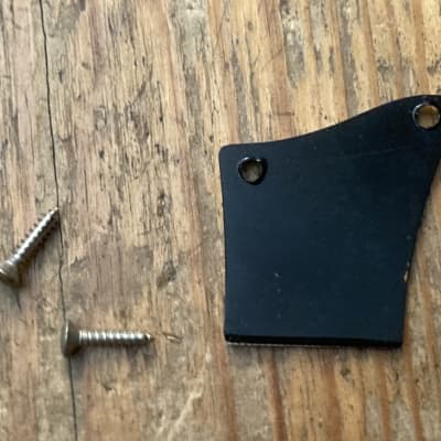 1960s Eko Florentine 360 Truss Rod Cover Made in Italy | Reverb UK