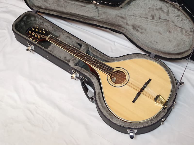 GOLD TONE OM-800+ 8-string Octave MANDOLIN new w/ CASE - | Reverb