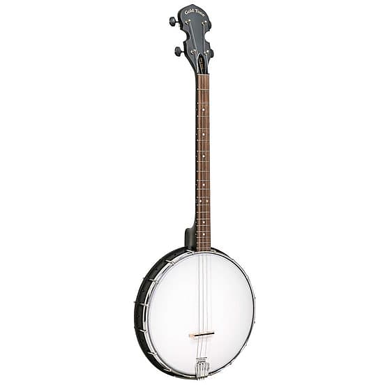 Gold Tone AC-4: Acoustic Composite 4-String Openback Tenor | Reverb