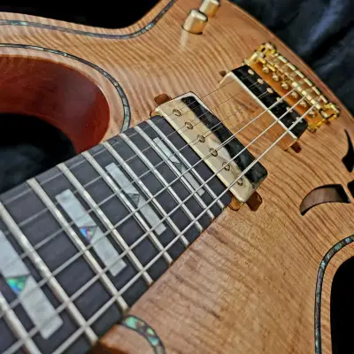 SJ Custom Guitars, Hollowbody,Flame Mango Top, Mahogany Back, | Reverb