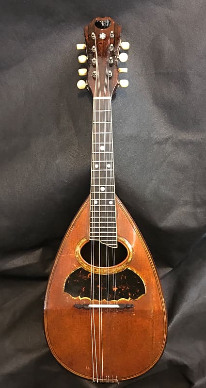 Ditson Empire Bowl Back Mandolin - Early 1900s - Great Player | Reverb