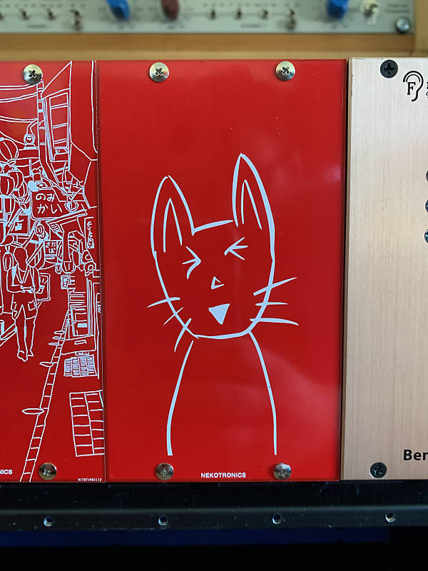 Nekotronics 500 series blank panel 2 slot 2u JiJi cat | Reverb