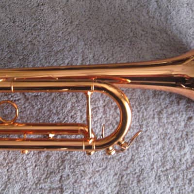 Carol Brass MORGANA Bb TRUMPET 2023 - COPPER PLATE | Reverb