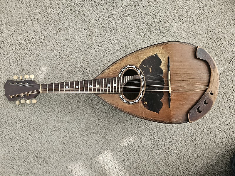 Vinaccia Bowlback Mandolin 1920s | Reverb