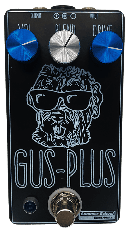 Summer School Electronics Gus-Plus | Reverb