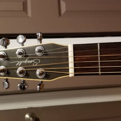 Seagull Coastline Grand Parlor model 29242 | Reverb