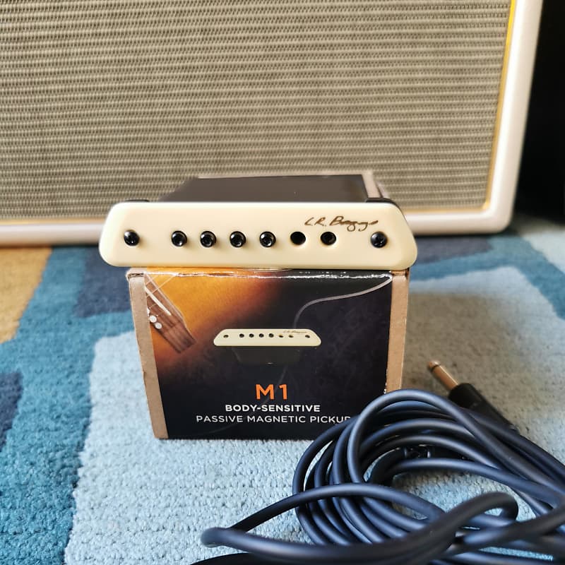 LR Baggs M1 Passive Soundhole Pickup | Reverb