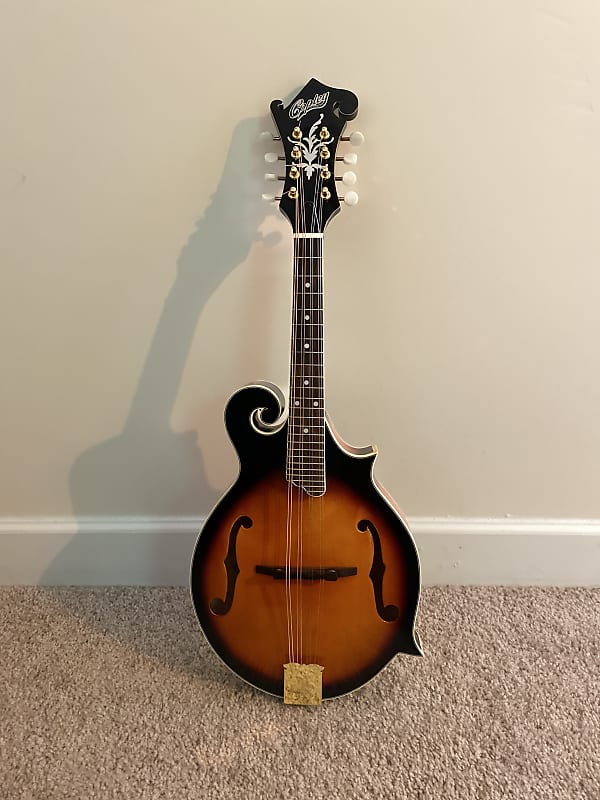 Copley Mandolin | Reverb