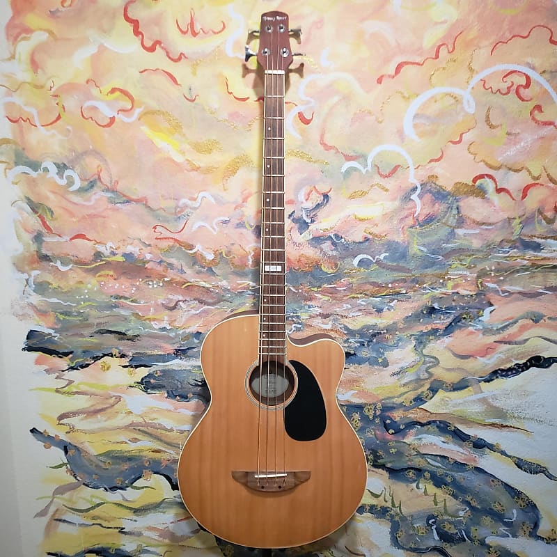 Stenzler Trinity River TOB3CENSZ Eagle Acoustic Electric Bass | Reverb