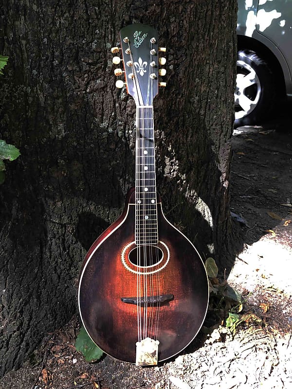 Gibson A4 Mandolin 1911 with new Flightcase | Reverb Ireland