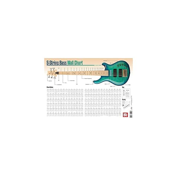 5-String Bass Guitar Wall Chart Various | Reverb Australia