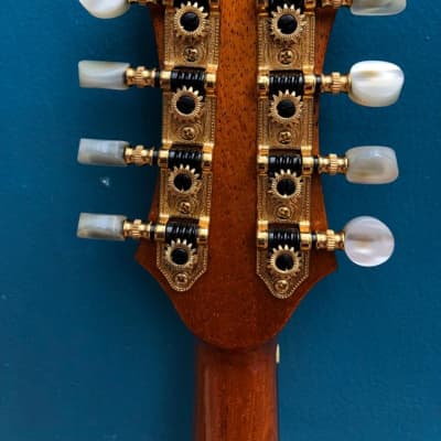 JB Bandolim (modelo ESP) 1996 | Reverb