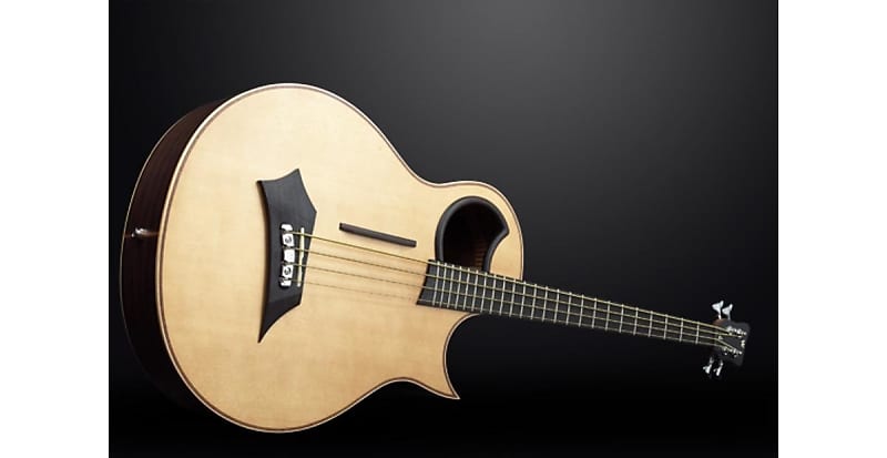 Warwick Alien 4-String Acoustic Electric Bass- Transparent | Reverb