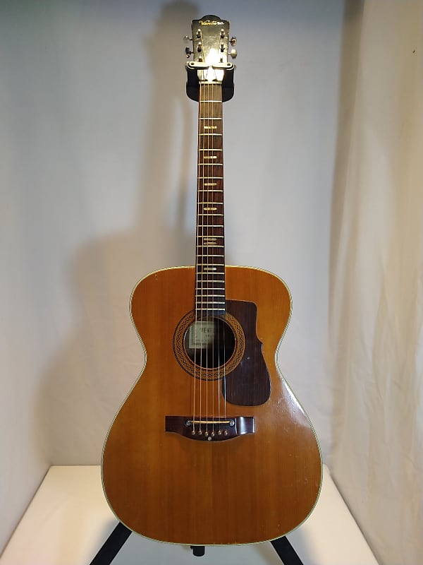 Ventura V-12 | Reverb