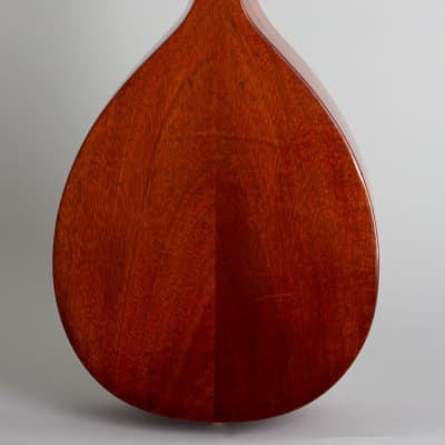 August Pollmann Royal Mandolin Banjo, c. 1890, brown | Reverb