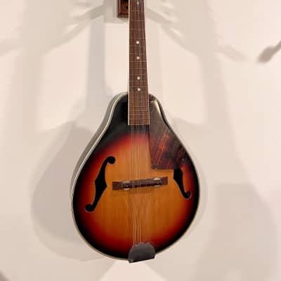 Vintage Kent Mandolin 1960’s | Reverb