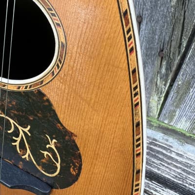 Lyon and Healy Italian Style Bowlback Mandolin Brazilian | Reverb