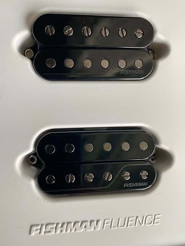 Fishman Fishman 6-String Guitar Fluence Signature Series | Reverb